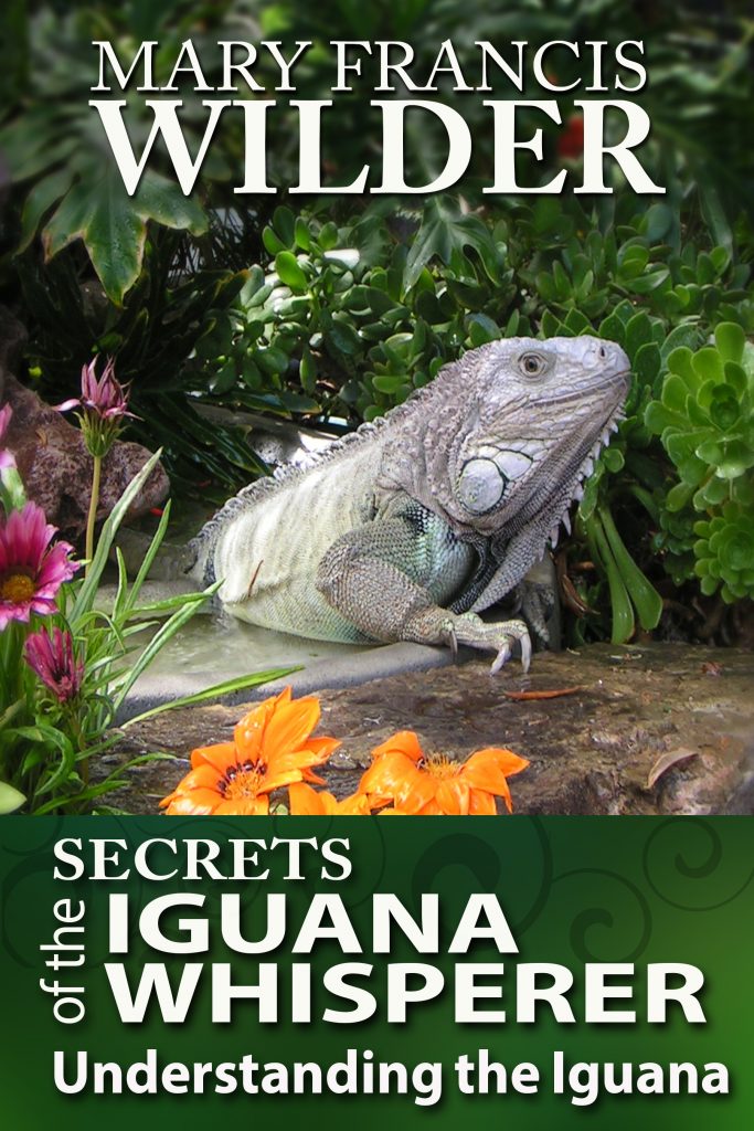 My Book “Understanding the Iguana” – The Iguana Whisperer